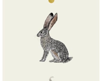 Rabbit illustration | Etsy
