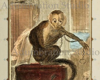 Monkey engraving | Etsy