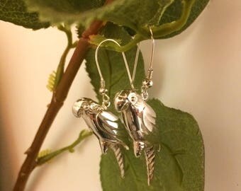 Budgie earrings parakeet earrings parrot earrings parakeet