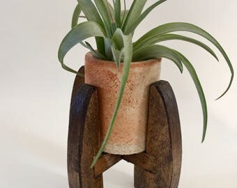 Air plant pot | Etsy