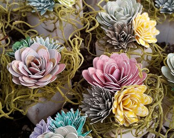 Paper succulent plant template succulent template plate