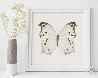 Butterfly print | Etsy
