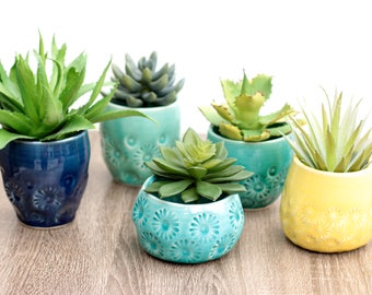 Air plant pot | Etsy