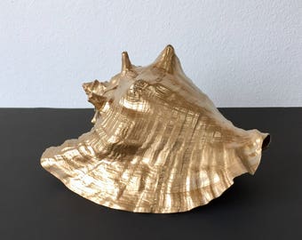 Painted conch shells | Etsy