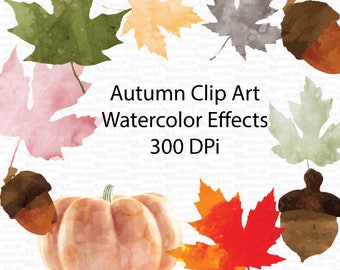 Acorn clipart | Etsy