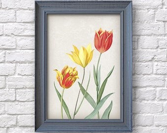 Spring flowers art print botanical illustration wild flowers