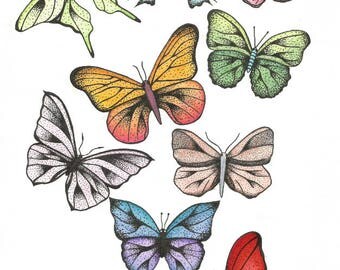 Razor and Tattoo Machine Flash Sheet