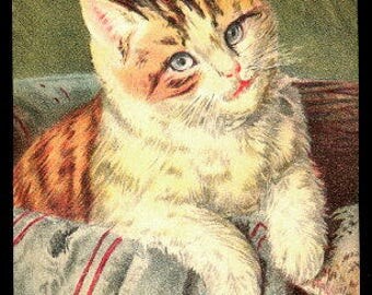Vintage cat postcard | Etsy