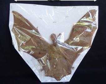 Knitted Dissected Bat Specimen PDF Pattern