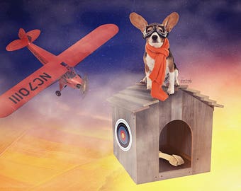 Red baron snoopy | Etsy