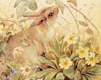 Vintage rabbit print | Etsy