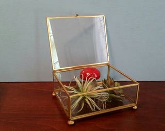 Crystal display case | Etsy