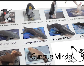 Montessori North American Wildlife Animal Match Miniature