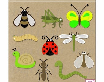 Cute Bugs Clip Art Insects Clipart Ladybug Snail
