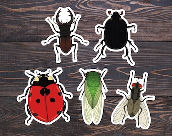 Nature sticker | Etsy