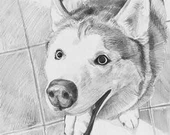 Custom pet drawing | Etsy