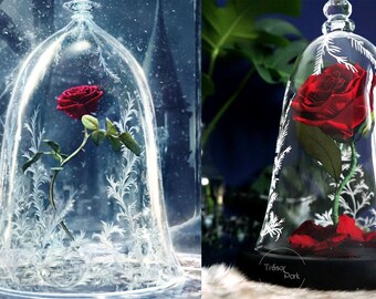 Rose in glass dome | Etsy