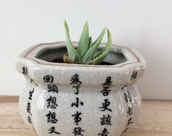 Chinese planter | Etsy