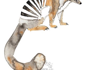 Numbat | Etsy