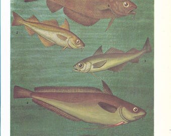 Pout pout fish | Etsy