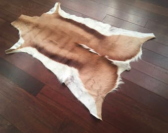 Springbok pillow | Etsy