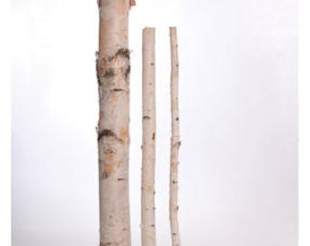 Birch poles | Etsy