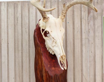 European mount | Etsy