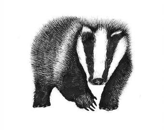 Badger print 11x14