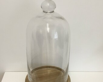 Mini Plastic Dome Pendant Small Terrarium Domes Tiny Display