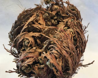 Rose of jericho | Etsy