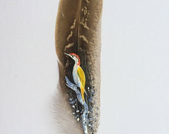 Woodpecker feather | Etsy