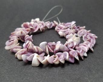 Graduated Black Olive Shell Heishi Beads 16 Inches Strand