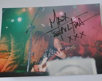 Opal the Pixie Kitten Chrysanthemums Giclee Photo Print