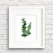 Pine Trees Art Print Wall Decor Watercolor Painting