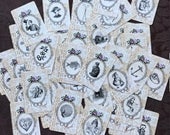 Tea Leaf Reading Cards by Tea With Karin by TeaWithKarin on Etsy