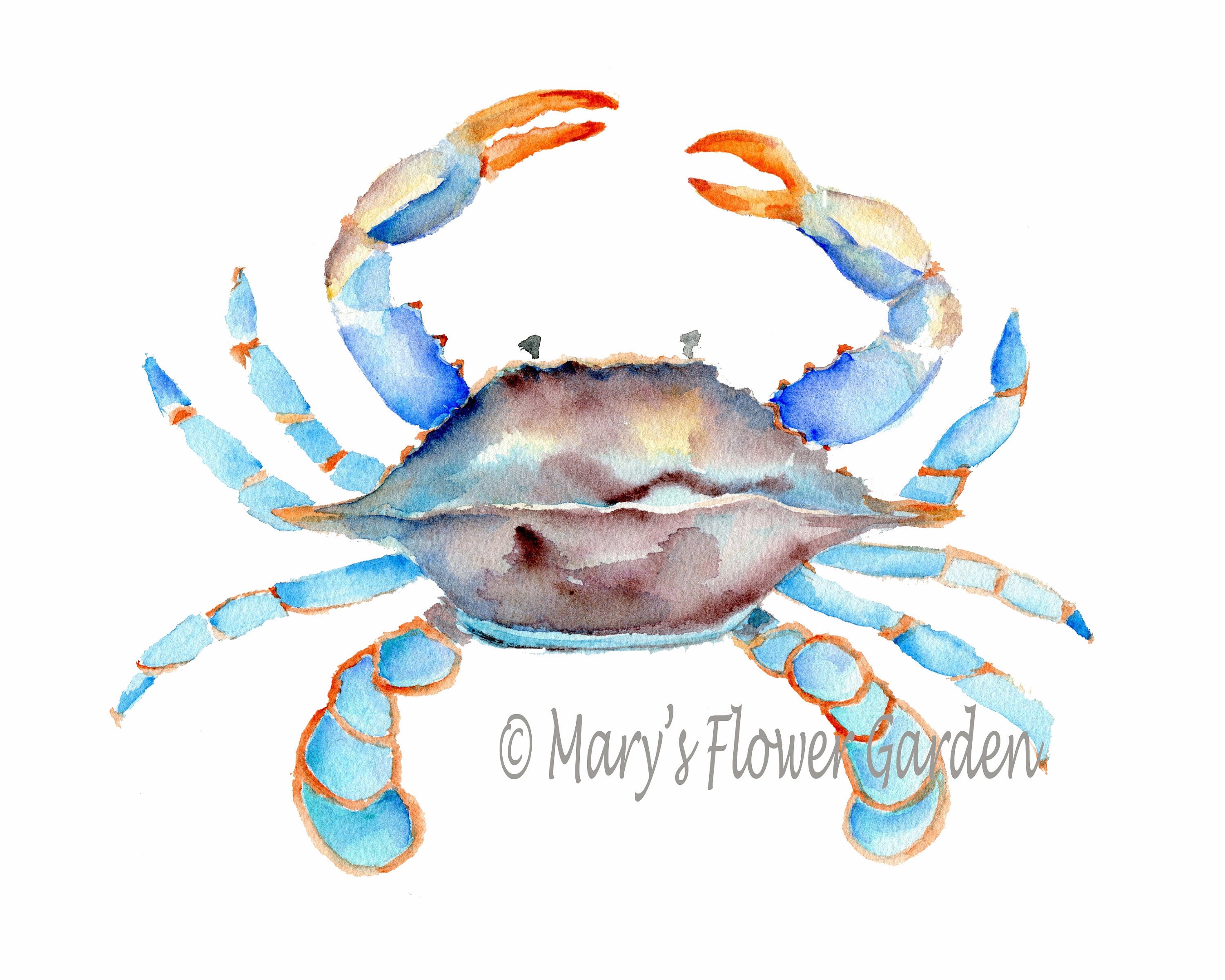 Blue Crab Watercolor-crab art Sea Life Art beach house