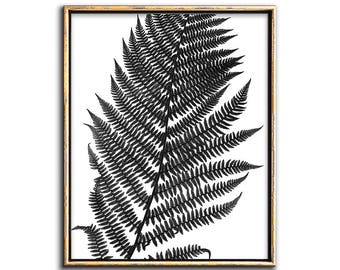 Fern art | Etsy