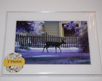 Modern deer decor | Etsy