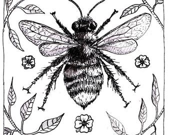 Ex Libris Design Bookplate