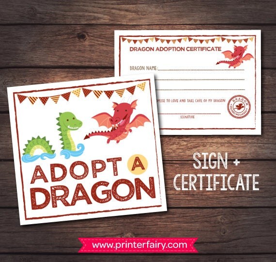 Dragon Birthday Party, Viking birthday party, Adopt a dragon, Pet adoption party, Adoption ...
