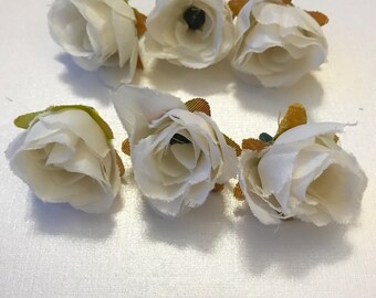 Accent mini rose small rose small flower mini roses mini