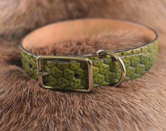Celtic dog collar | Etsy
