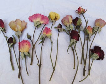 Mini dried flowers | Etsy