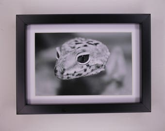 Watercolor Gecko Gecko Print Green Gecko Print Green Lizard