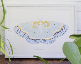 Viking Skeleton Warrior Celtic Limited Edition Silk Screen