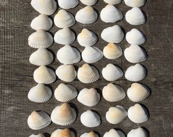 Beach party decor | Etsy