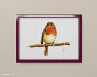 Robin watercolor | Etsy
