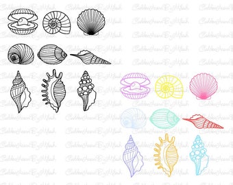 Shell svg | Etsy