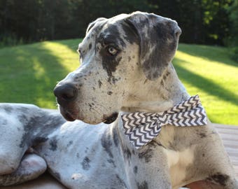 Dog bow tie | Etsy