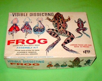 Vintage model kit | Etsy